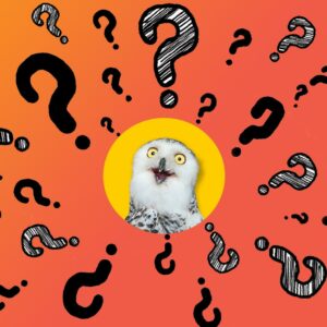 Technical Help - The Learning Professor