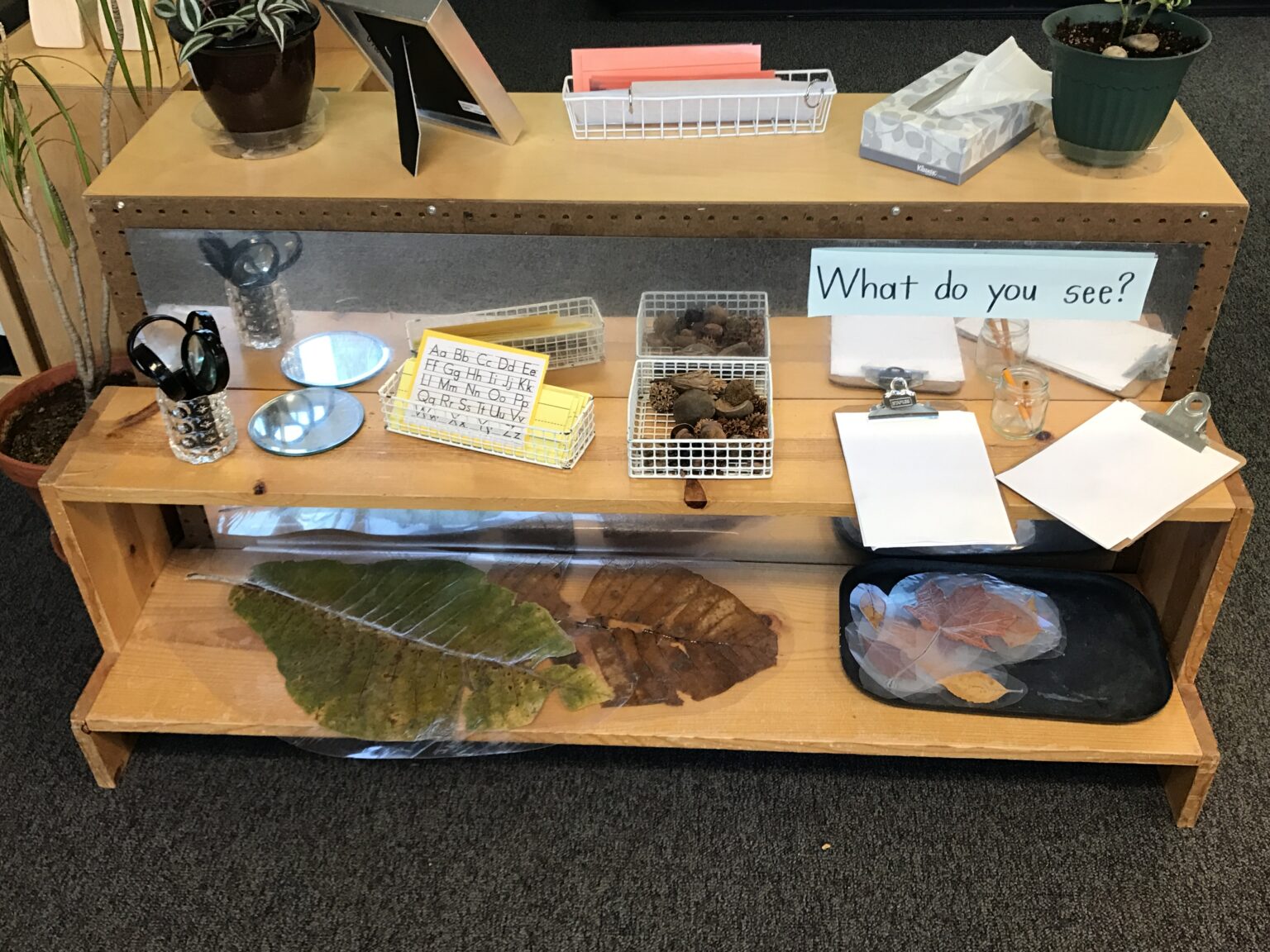 Science Activities - The Learning Professor